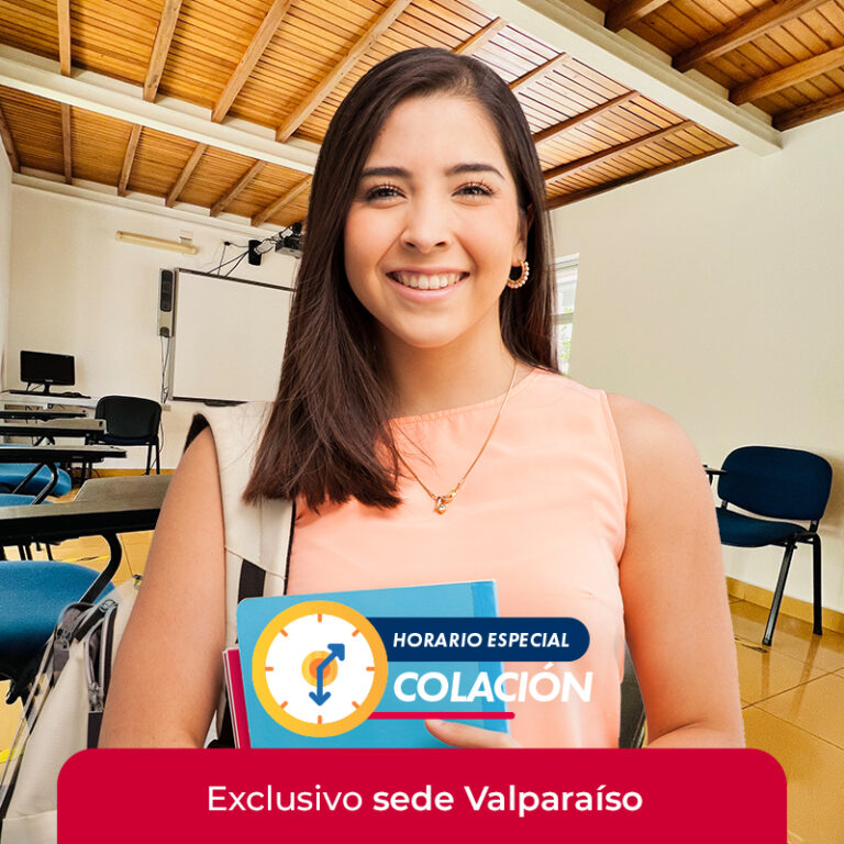 Curso Inglés Adultos 100% Online Flex • Instituto Chileno Norteamericano